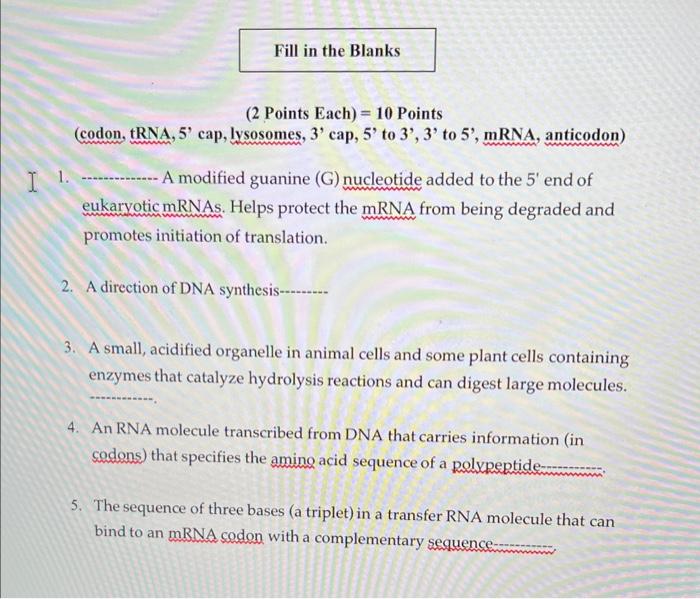 Solved (2 Points Each) =10 Points (codon, tRNA, 5' cap, | Chegg.com
