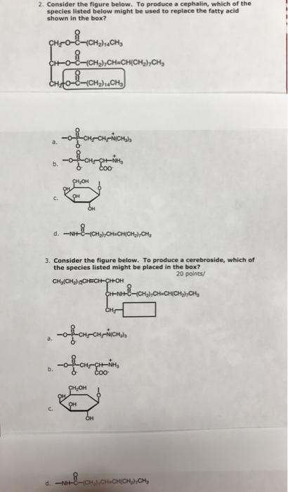 Solved 2. Consider the figure below. To produce a cephalin, | Chegg.com