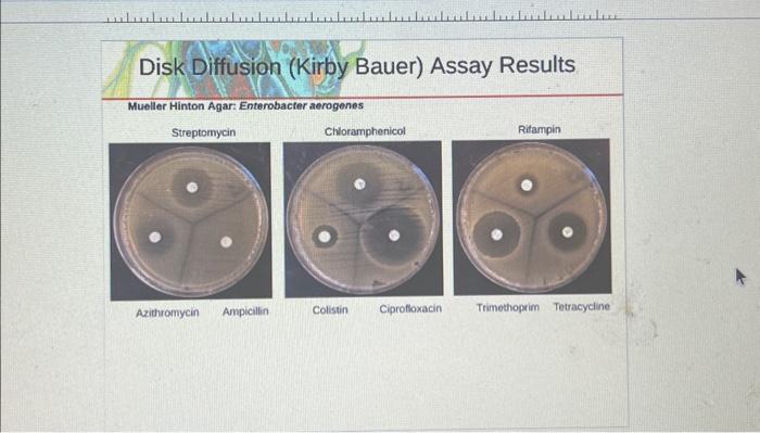 Solved Disk Diffusion (Kirby Bauer) Assay Results Mueller | Chegg.com