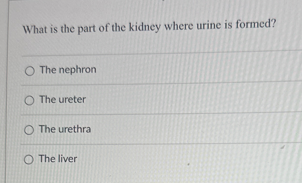 Solved What is the part of the kidney where urine is | Chegg.com