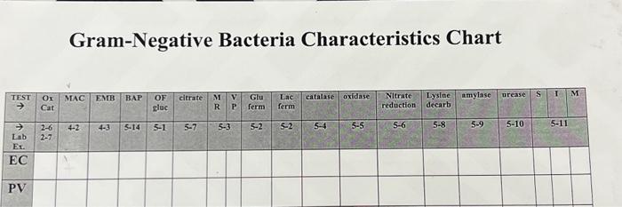 Gram-Negative Bacteria Characteristics Chart | Chegg.com