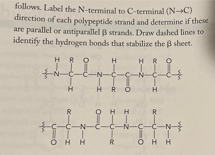 Solved follows. Label the N-terminal to C-terminal (N-C) | Chegg.com