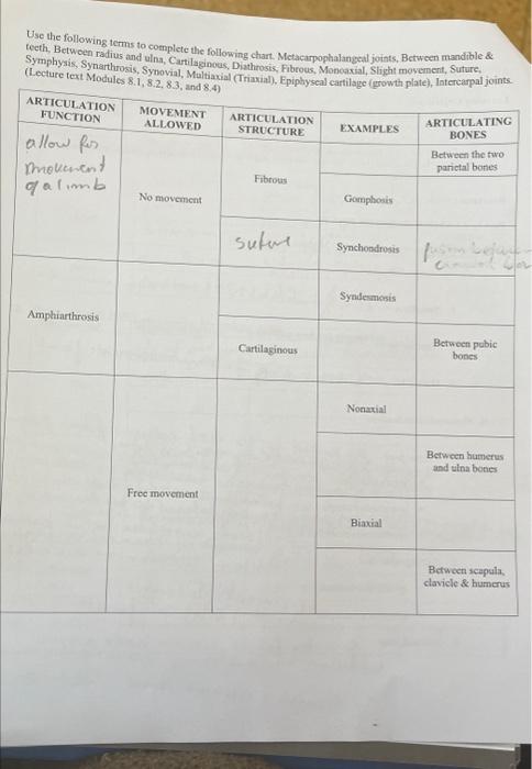 Solved Use the following terms to complete the following | Chegg.com