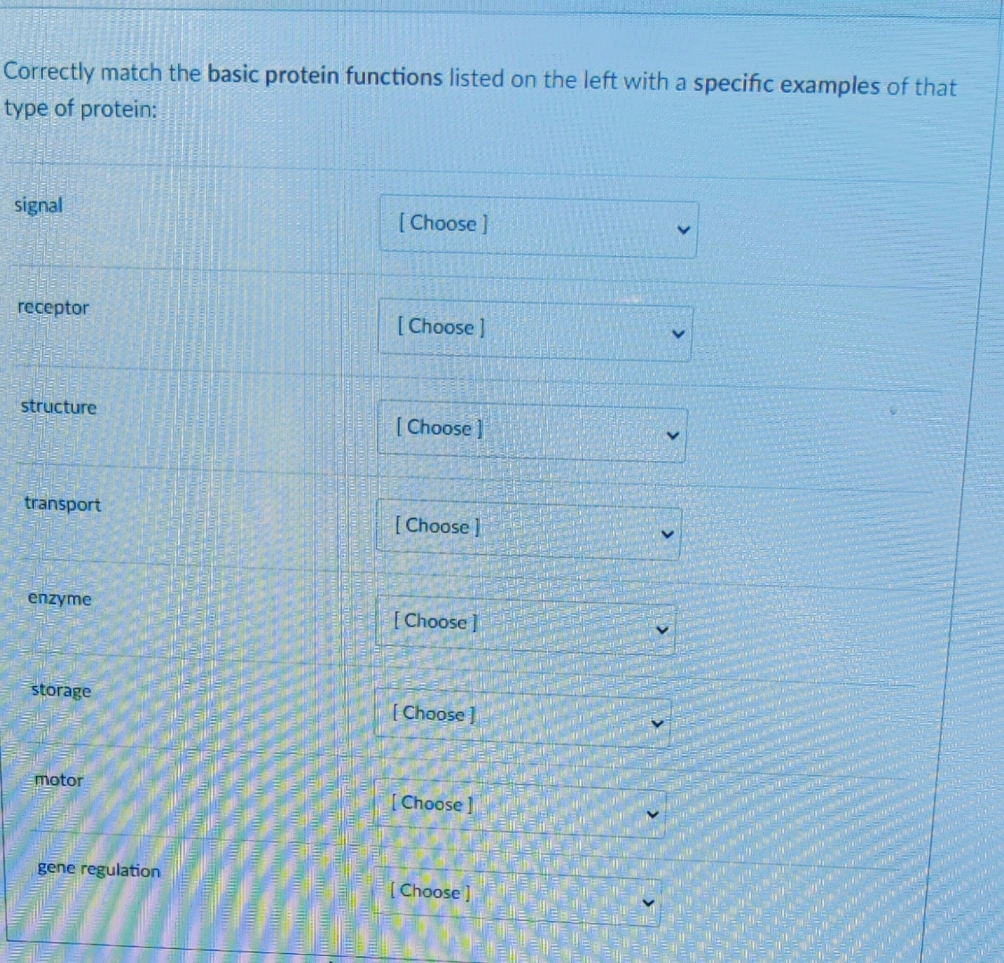 Solved Correctly match the basic protein functions listed on | Chegg.com