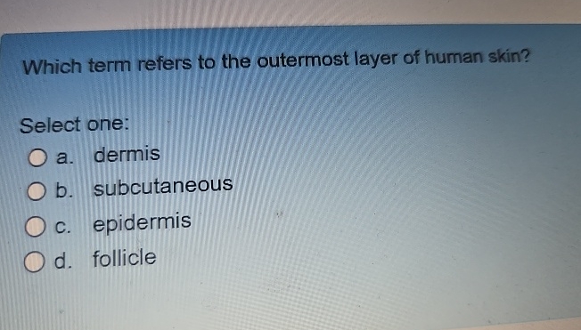 Which term refers to the outermost layer of human | Chegg.com