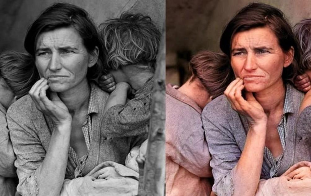 Solved Project Domain / Category Web Application Abstract / | Chegg.com