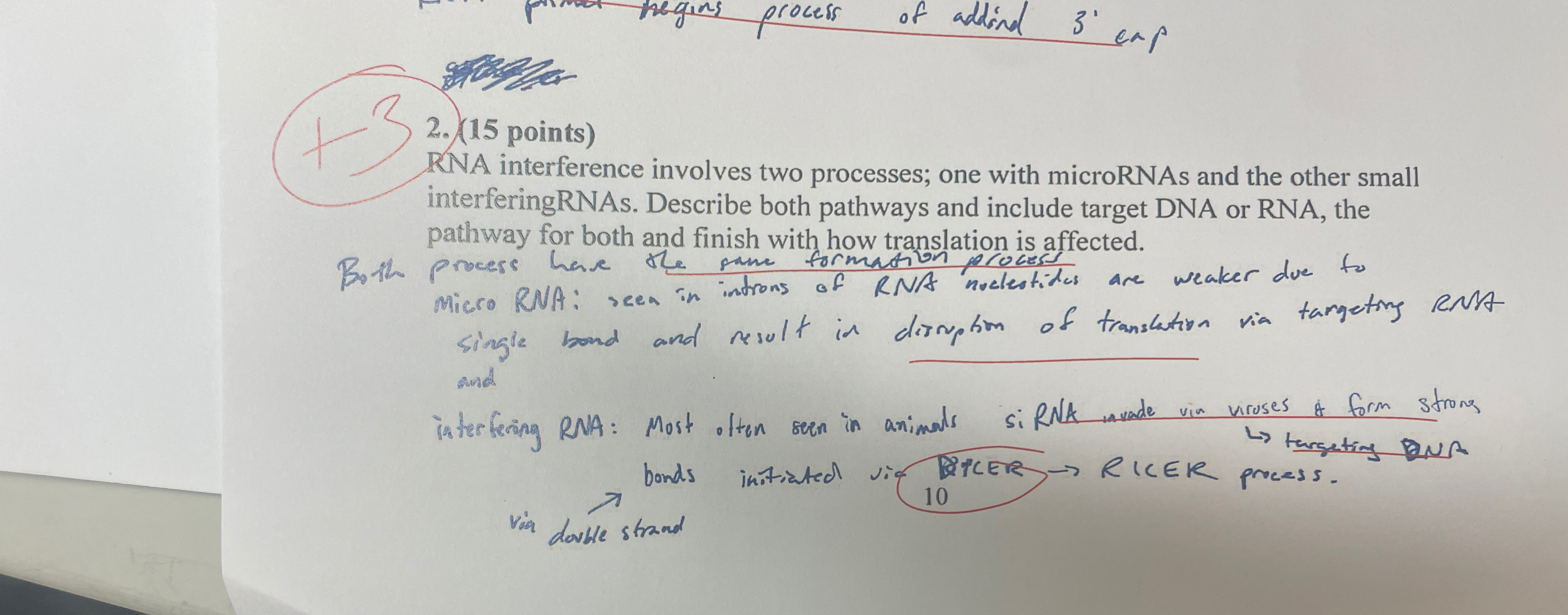 Solved ( 15 ﻿points)RNA interference involves two processes; | Chegg.com