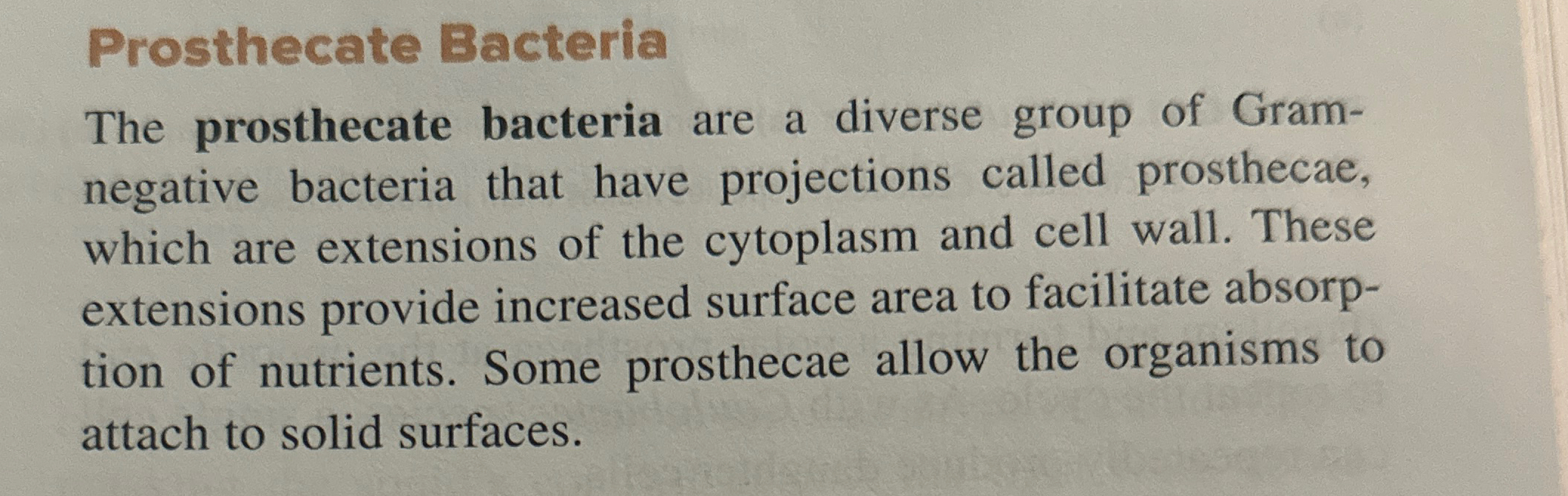 Solved Prosthecate BacteriaThe prosthecate bacteria are a | Chegg.com