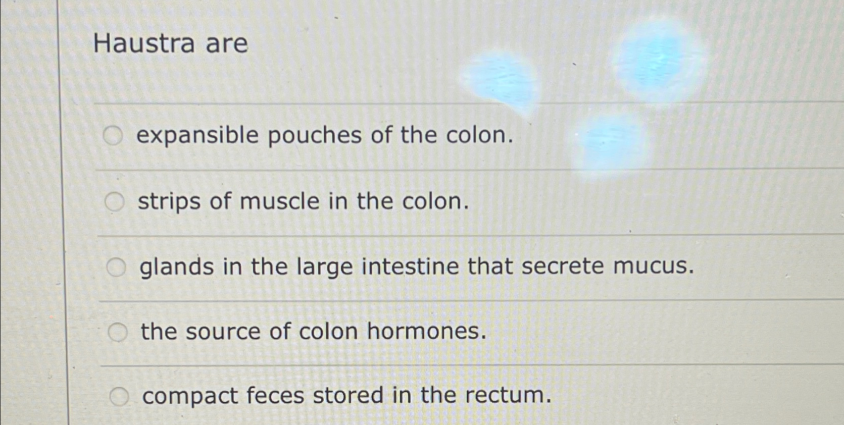 Solved Haustra areexpansible pouches of the colon.strips of | Chegg.com