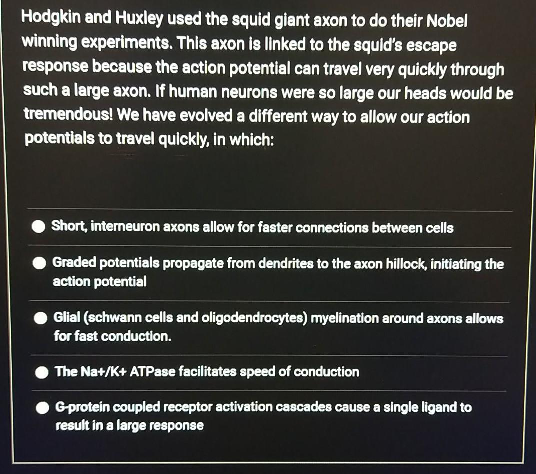 Solved Hodgkin and Huxley used the squid giant axon to do | Chegg.com