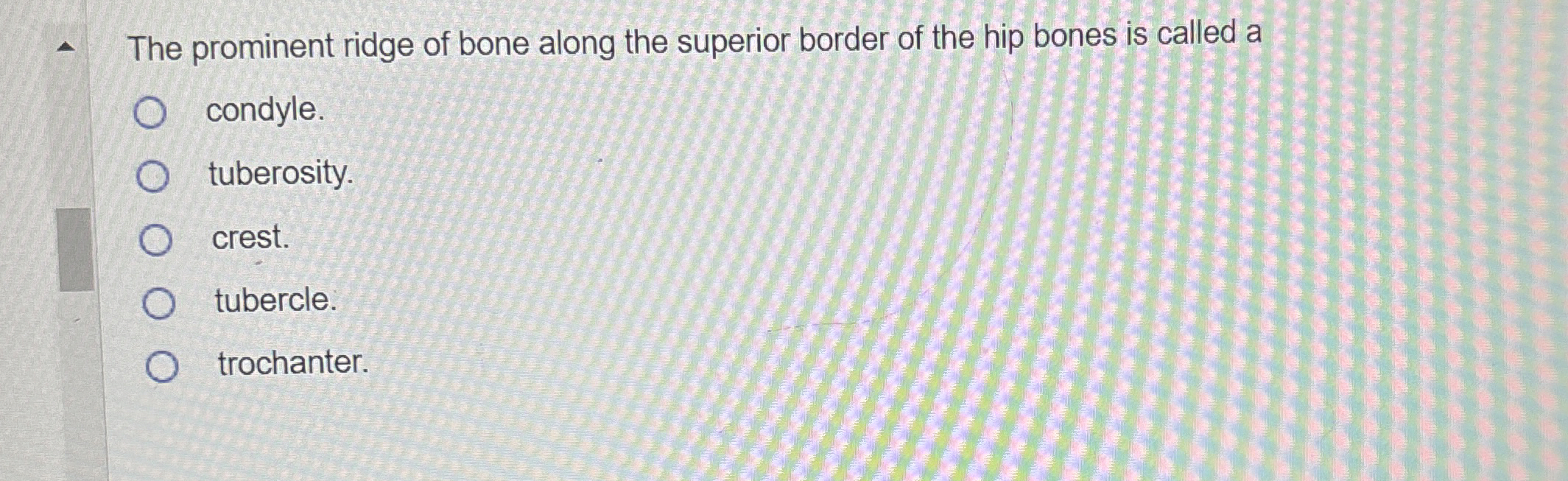 Solved The prominent ridge of bone along the superior border | Chegg.com