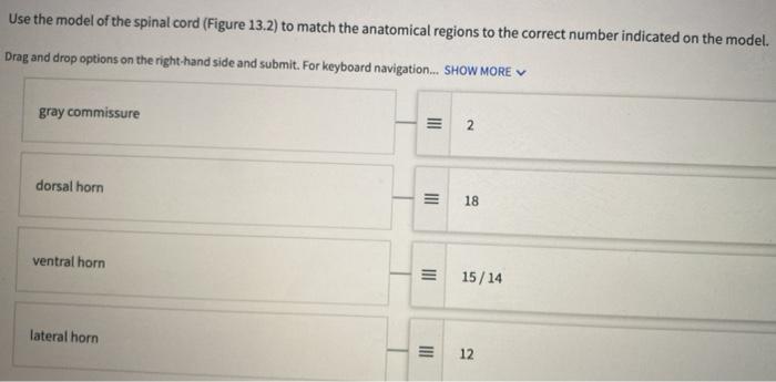 Solved All of the following structures may be visualized | Chegg.com