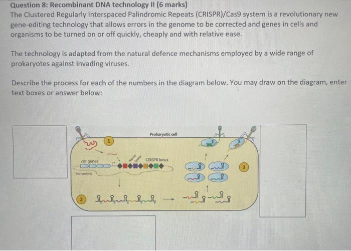 Solved Question 8: Recombinant DNA technology II ( 6 marks) | Chegg.com