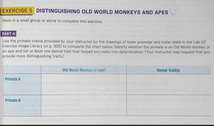 Solved EXERCISE 5 DISTINGUISHING OLD WORLD MONKEYS AND APES | Chegg.com