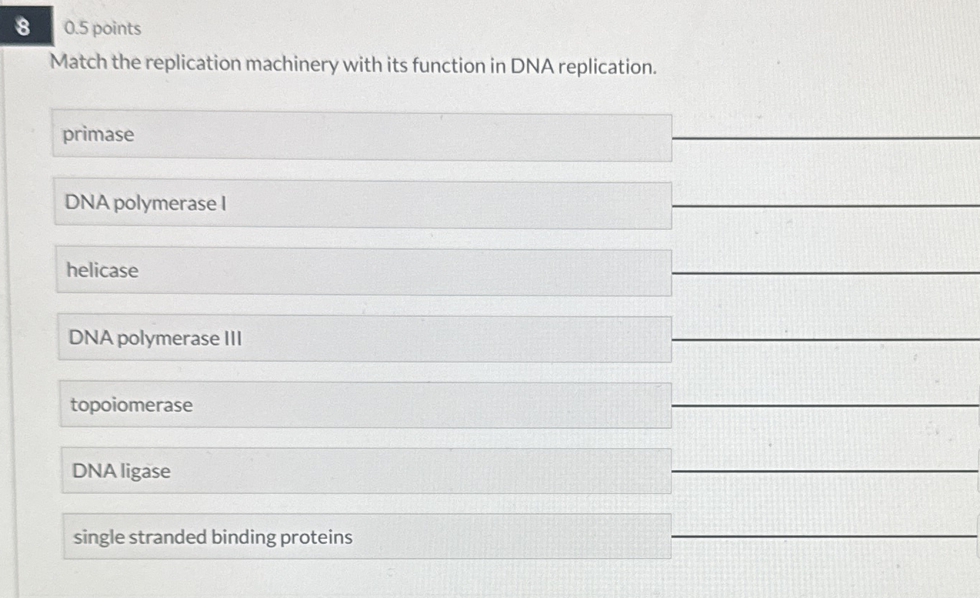Solved Match the replication machinery with its function in | Chegg.com