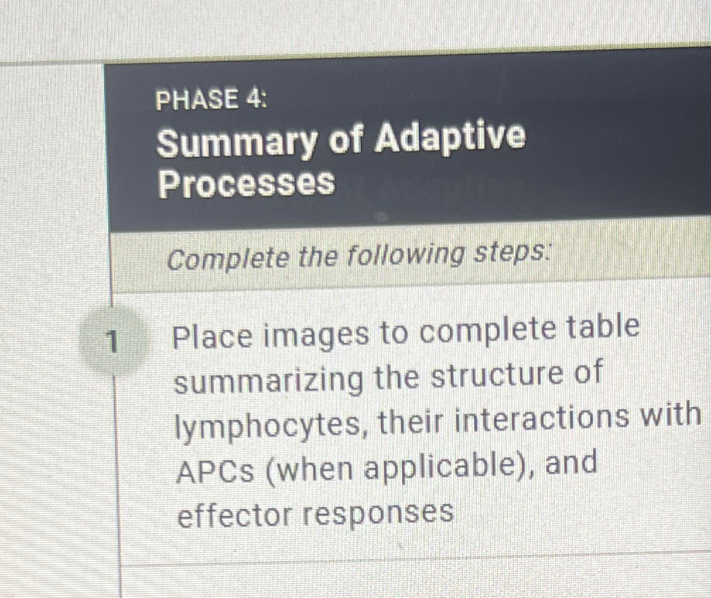 PHASE 4:Summary of Adaptive ProcessesComplete the | Chegg.com