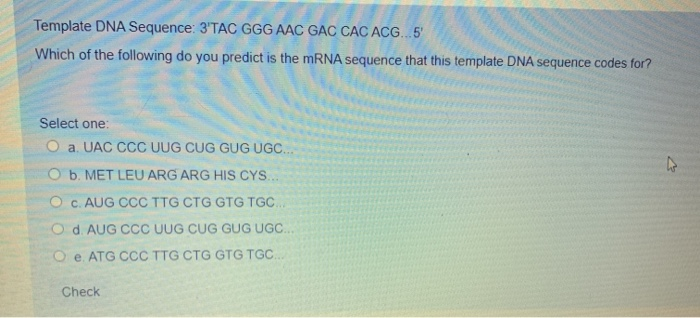 Solved Template DNA Sequence: 3 TAC GGG AAC GAC CAC ACG...5 | Chegg.com