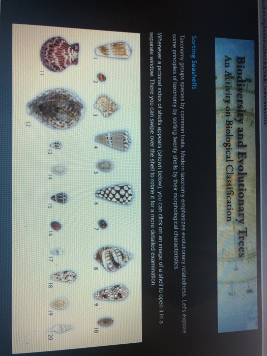 Solved 15. The fifth group of shells separated out were the | Chegg.com