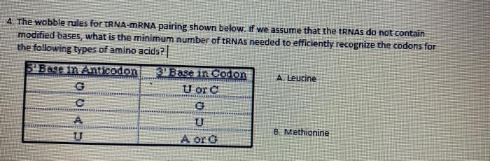 Solved 4. The wobble rules for tRNA-MRNA pairing shown | Chegg.com