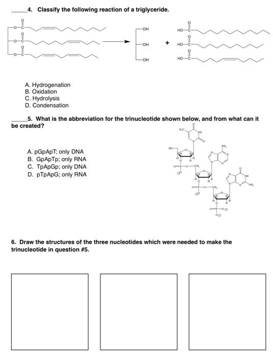 Solved 4. Classify the following reaction of a triglyceride. | Chegg.com
