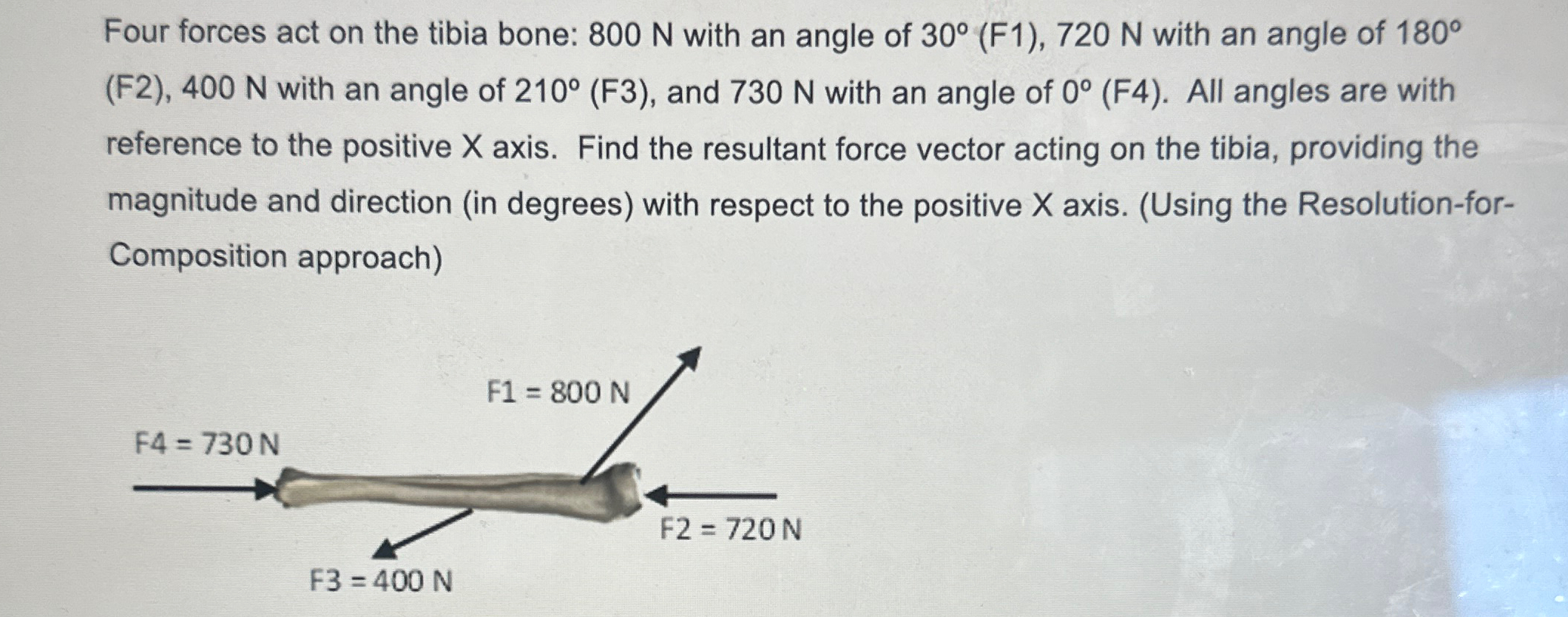 Solved Four forces act on the tibia bone: 800N ﻿with an | Chegg.com