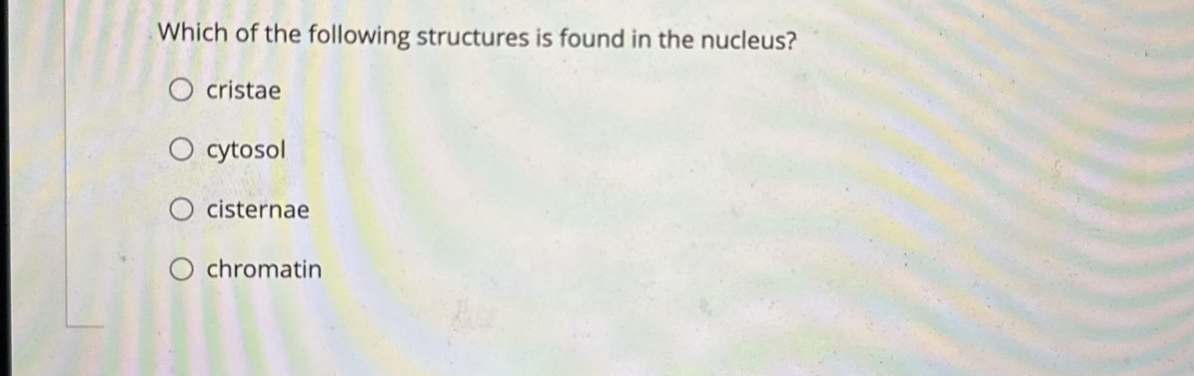 Solved Which of the following structures is found in the | Chegg.com