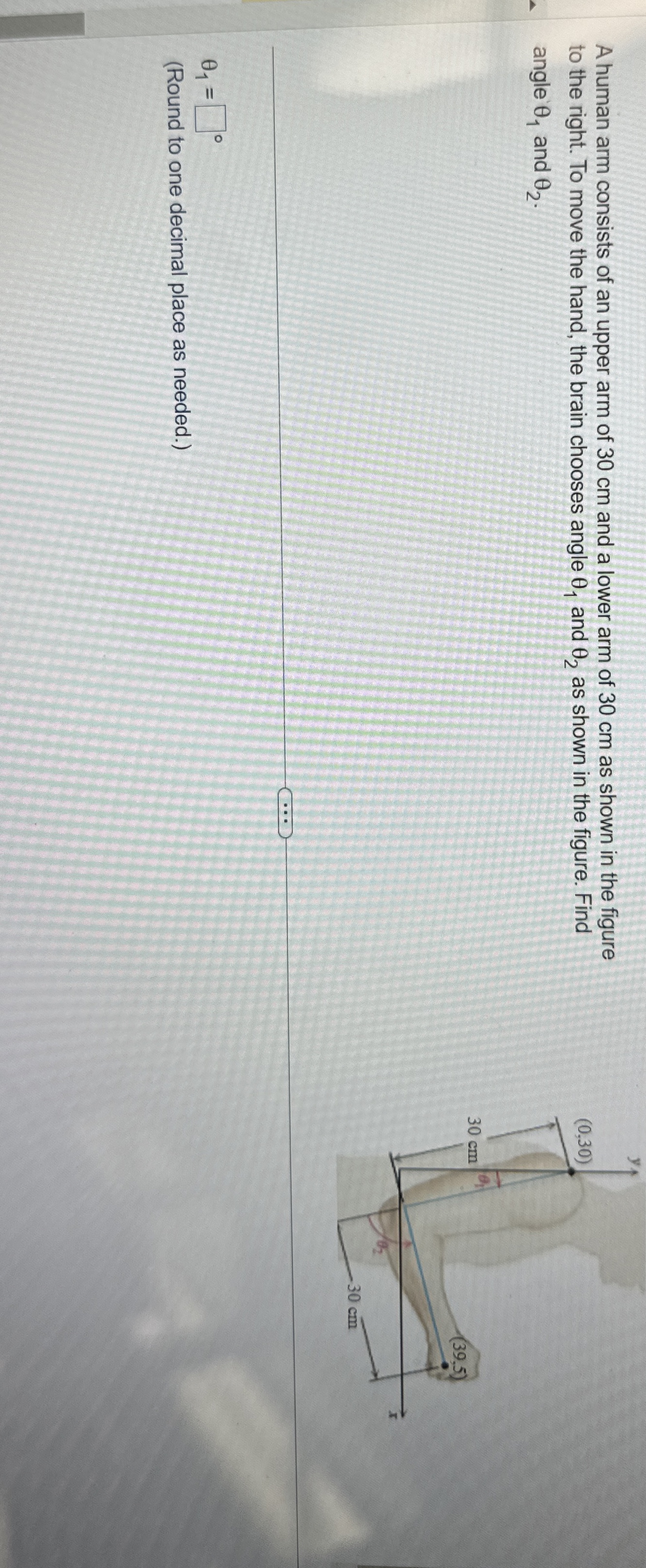 Solved A human arm consists of an upper arm of 30 ﻿cm and a | Chegg.com