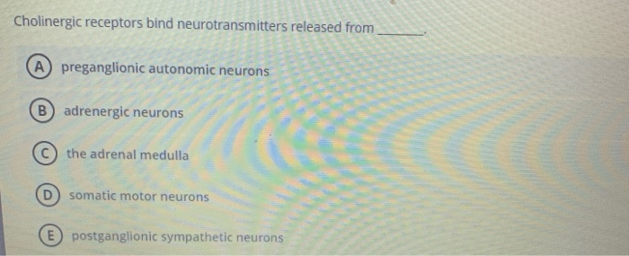 Solved Cholinergic receptors bind neurotransmitters released | Chegg.com