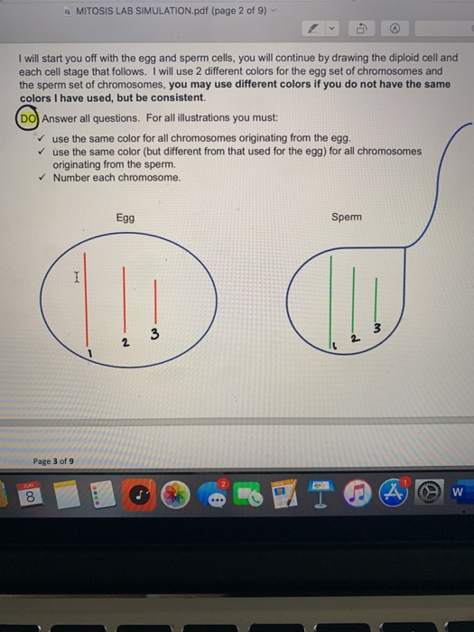 Solved MITOSIS LAB SIMULATION.pdf (page 2 of 9) I will start | Chegg.com