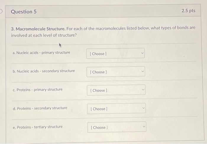 Solved 3 Macromolecule Structure For Each Of The