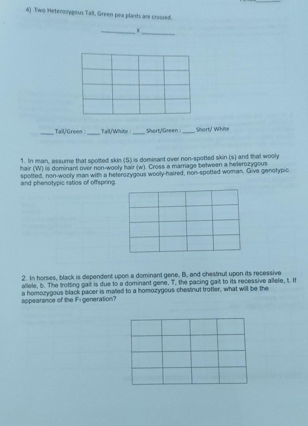 Worksheet: Dihybrid Crosses UNIT 3: GENETICS STEP 1: | Chegg.com