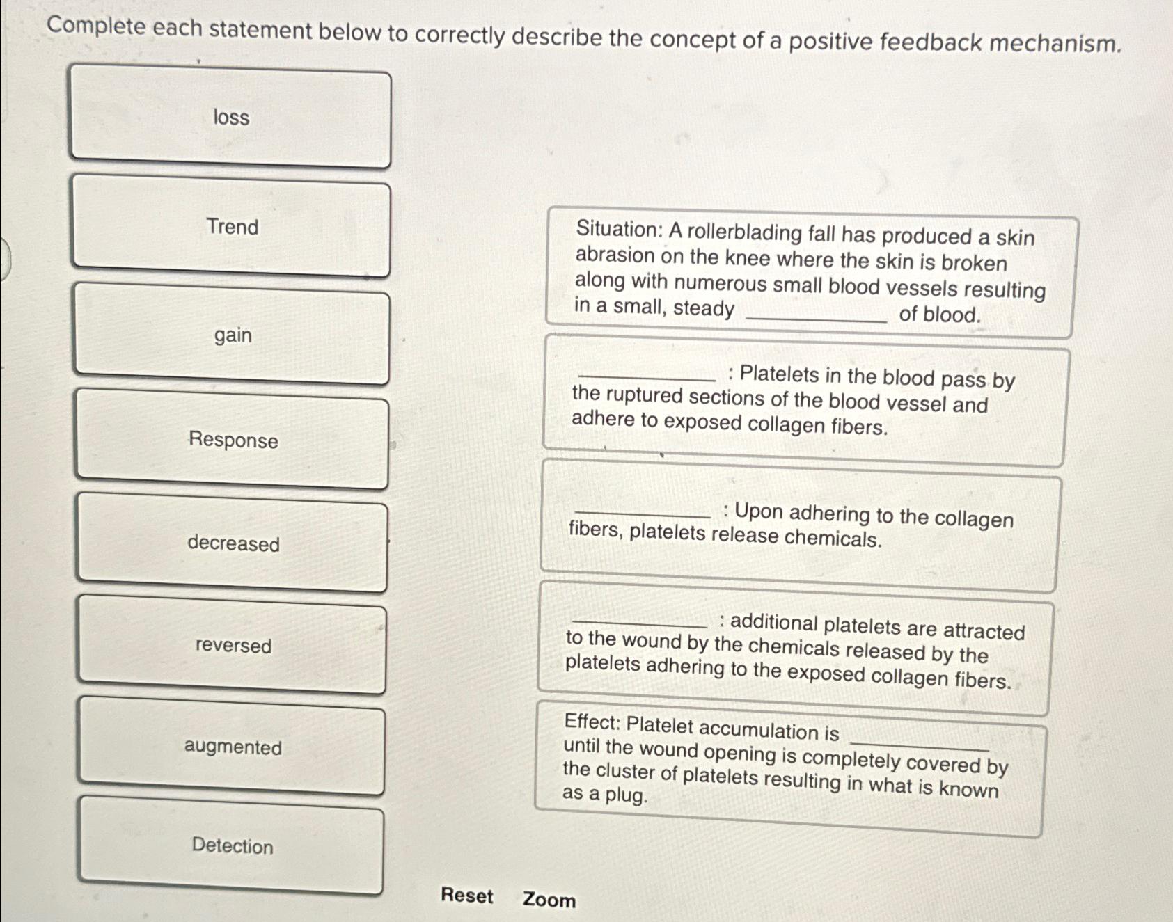 Solved Complete each statement below to correctly describe | Chegg.com