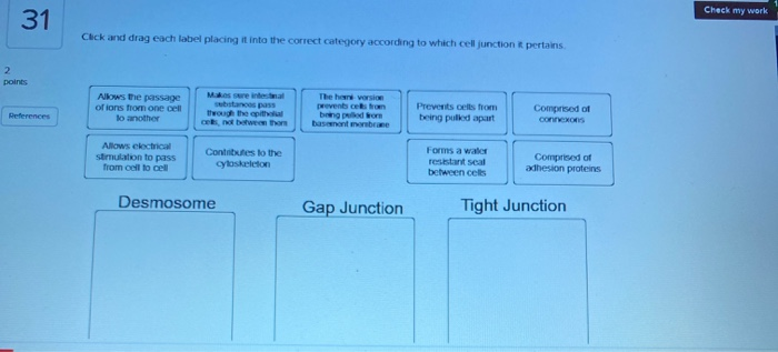 Solved Check my work 31 Click and drag each label placing it | Chegg.com