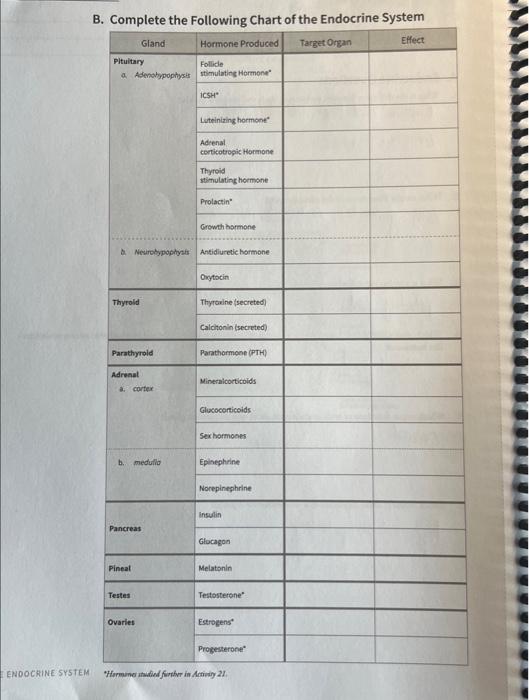 Solved B. Complete the Following Chart of the Endocrine | Chegg.com