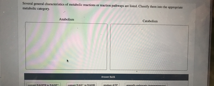 Solved Several general characteristics of metabolic | Chegg.com