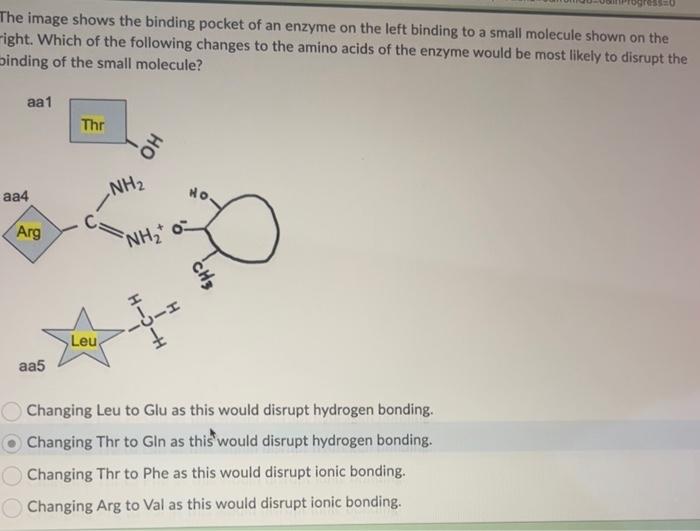 Solved The image shows the binding pocket of an enzyme on | Chegg.com