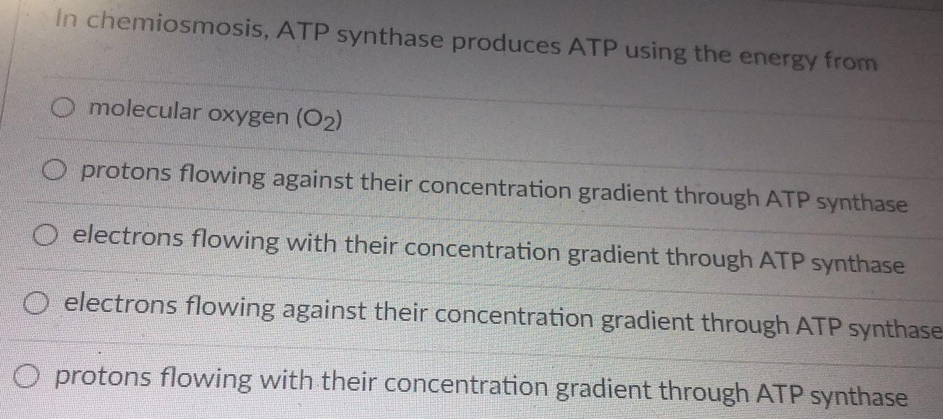 Solved In chemiosmosis, ATP synthase produces ATP using the | Chegg.com