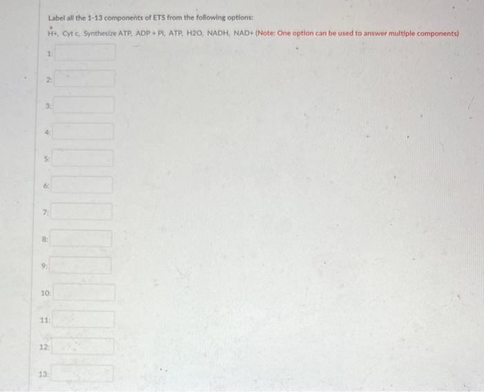 [Solved]: Label all the 1-13 components of ETS from the fo