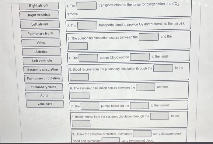 Solved 1. The transports blood to the lungs for oxygenation | Chegg.com