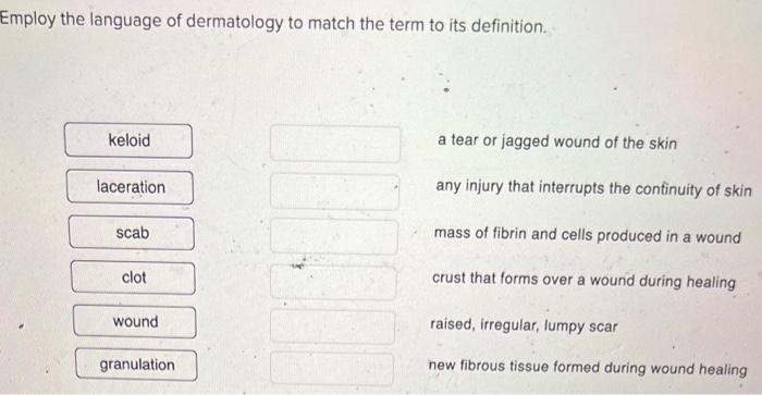 Solved Employ the language of dermatology to match the term | Chegg.com