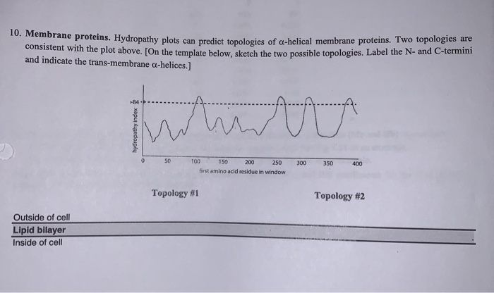 Solved 10. Membrane proteins. Hydropathy plots can predict | Chegg.com