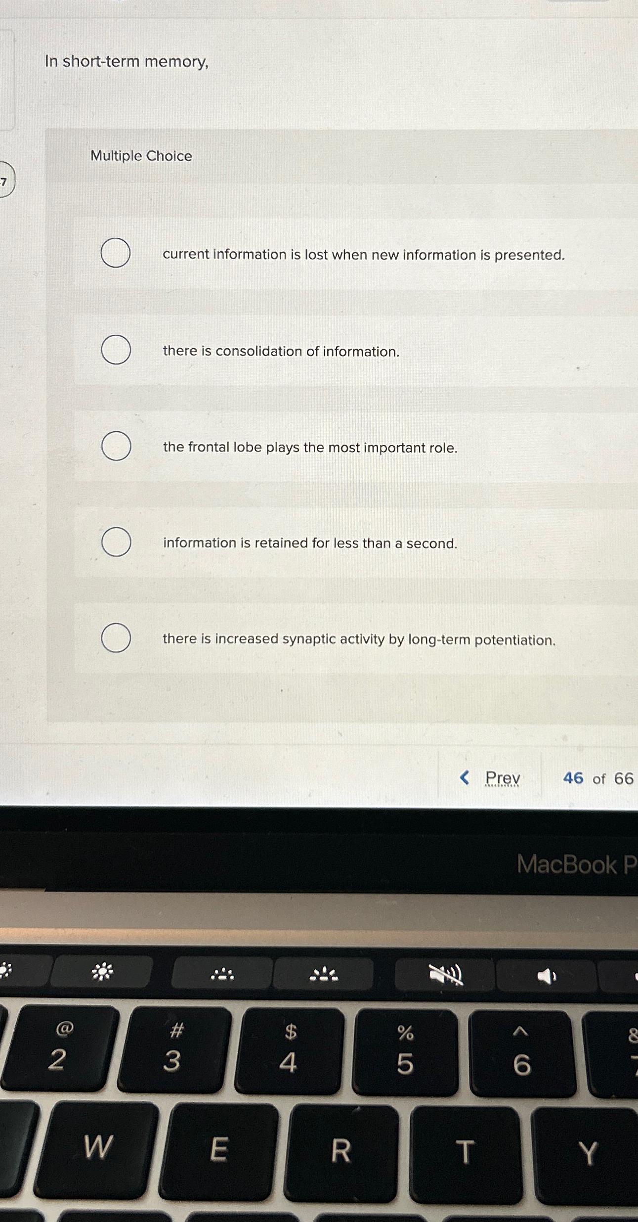 Solved In short-term memory,Multiple Choicecurrent | Chegg.com