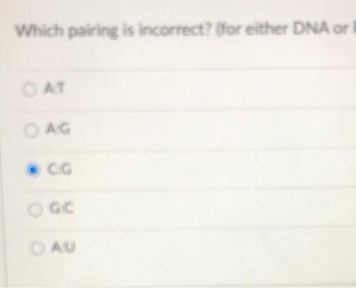 Solved Which pairing is incorrect? (for either DNA or ОАТ AG | Chegg.com