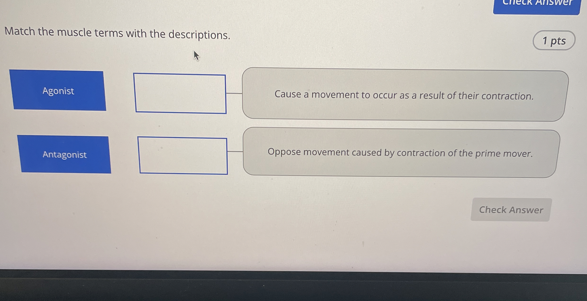 Solved Match the muscle terms with the | Chegg.com