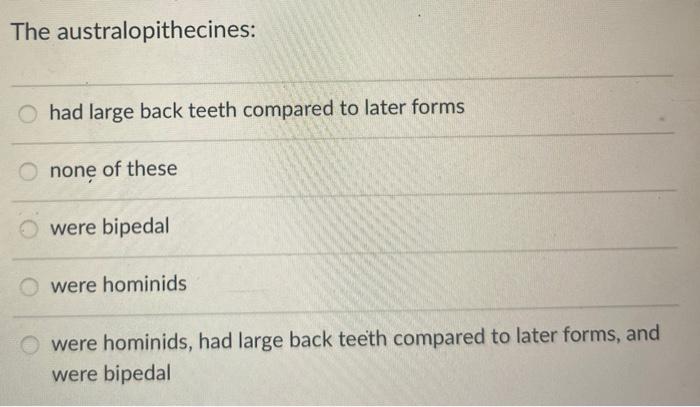 The australopithecines: had large back teeth compared | Chegg.com