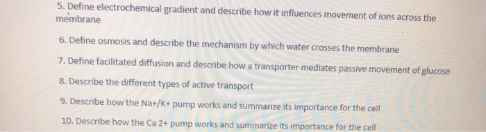 Solved 5. Define electrochemical gradient and describe how | Chegg.com