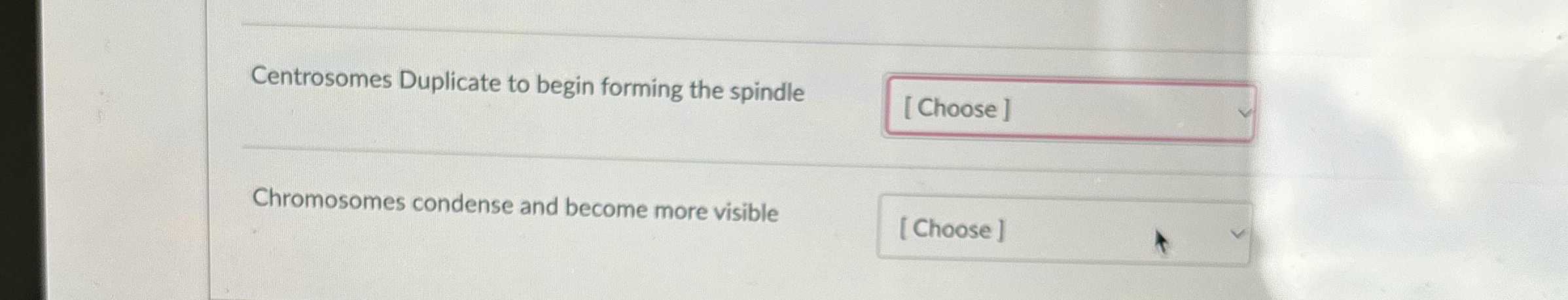 Solved Centrosomes Duplicate to begin forming the | Chegg.com