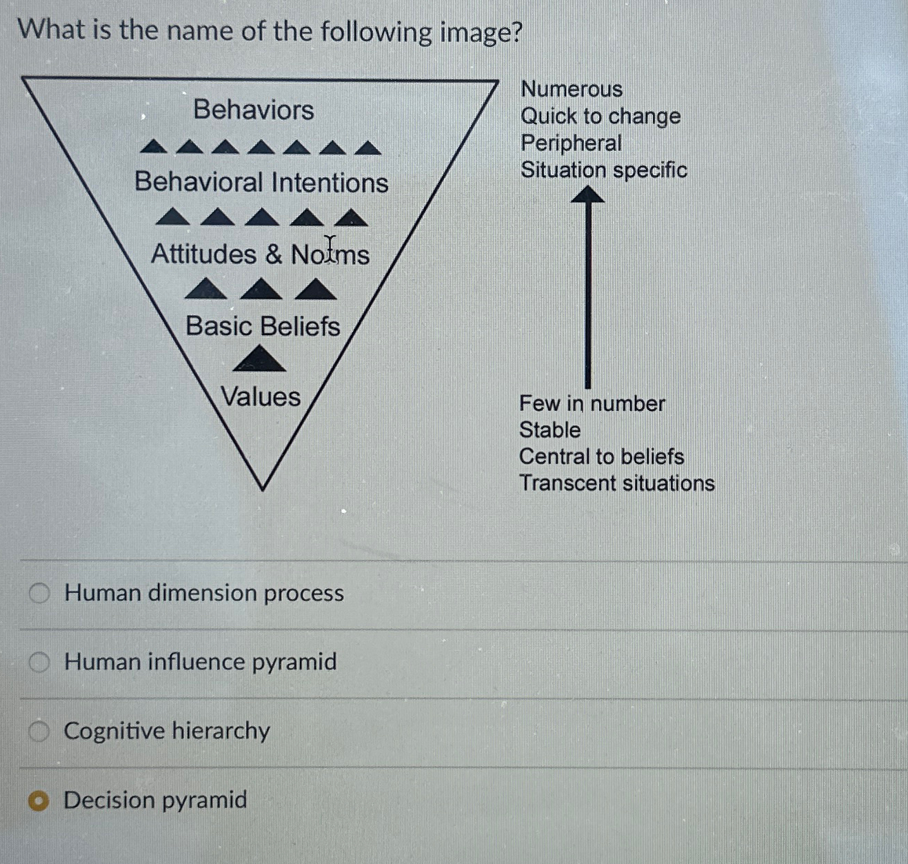 Solved What is the name of the following image? ﻿Human | Chegg.com