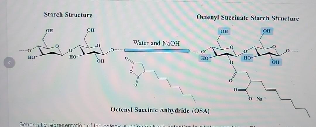 Solved Starch Structure Octenyl Succinate Starch Structure | Chegg.com