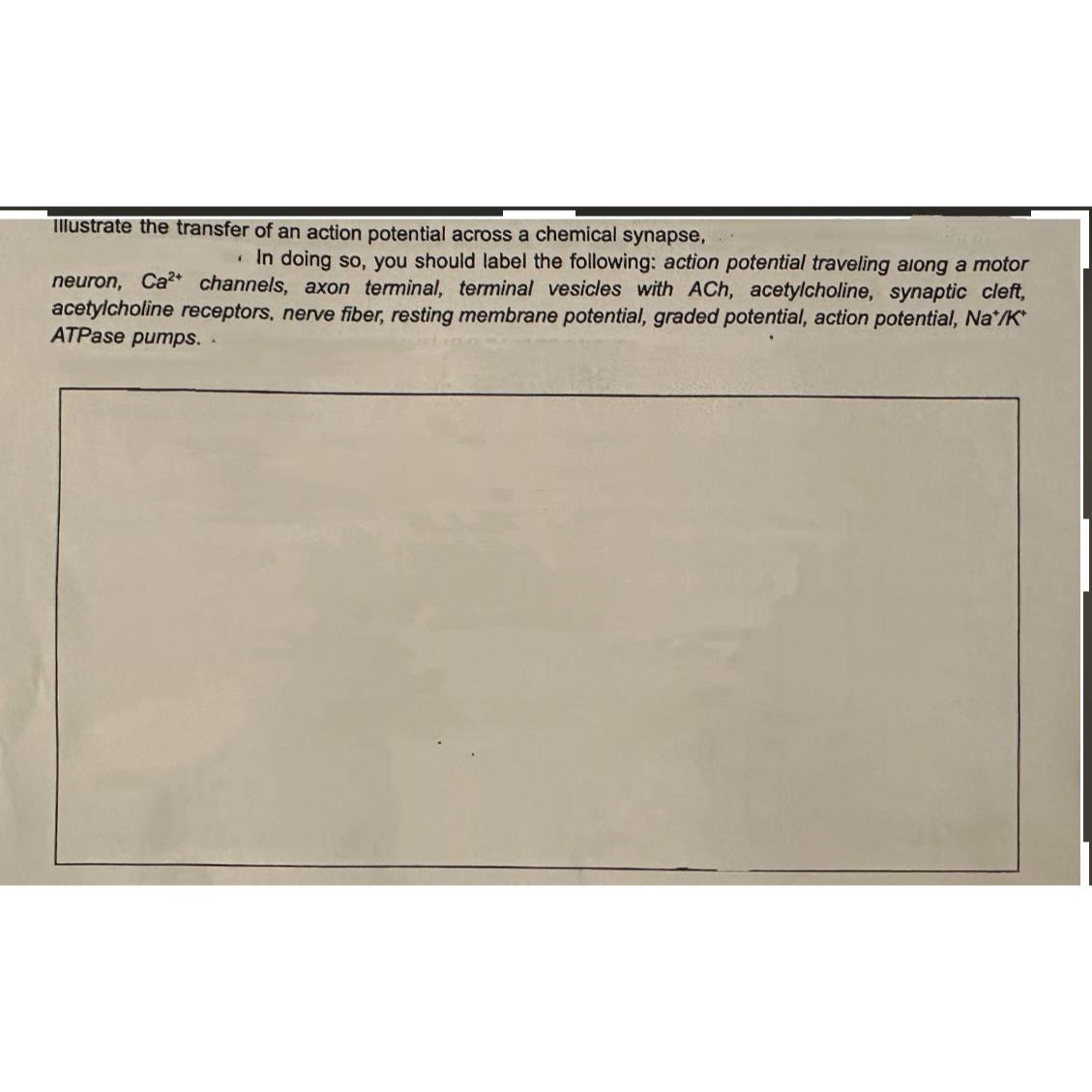 Solved Need help drawing diagram within the parameters. Must | Chegg.com